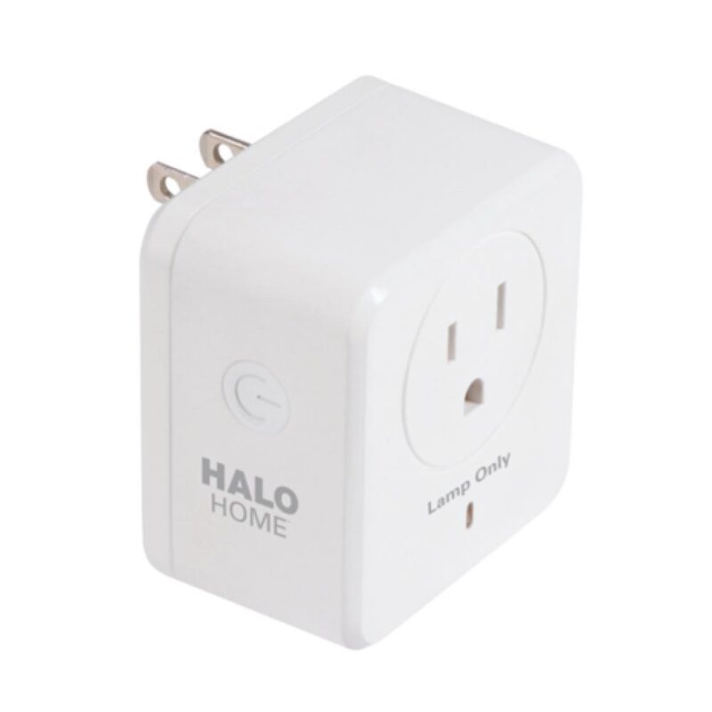 Echo Electric: A Bold New Future in Lighting & Design